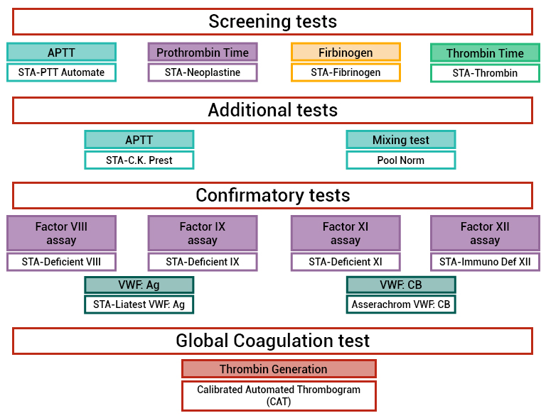 What tests are performed for Haemophilia B?